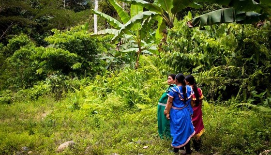 Help Keep Floating Doctors Afloat!